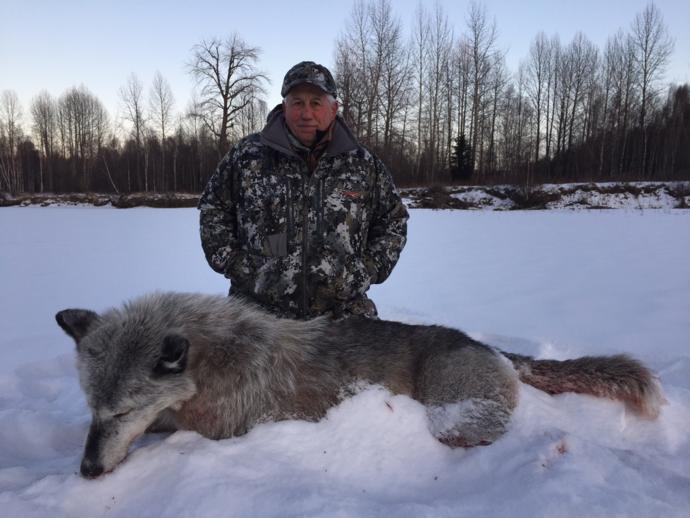 Alberta Wolf Hunting | Canada Wolf Hunting Outfitters, Guide